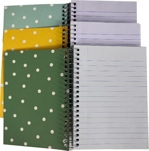 BULK Carton Fat Book - 5.5 X 4 Inches - 150 Sheets