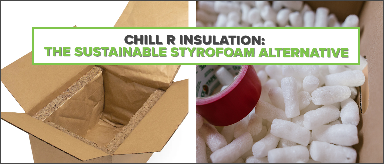 Chill R Insulation: The Sustainable Styrofoam Alternative