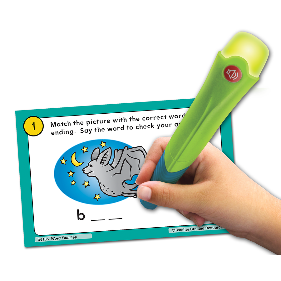 Power Pen Learning Cards Word Families - The School Box Inc