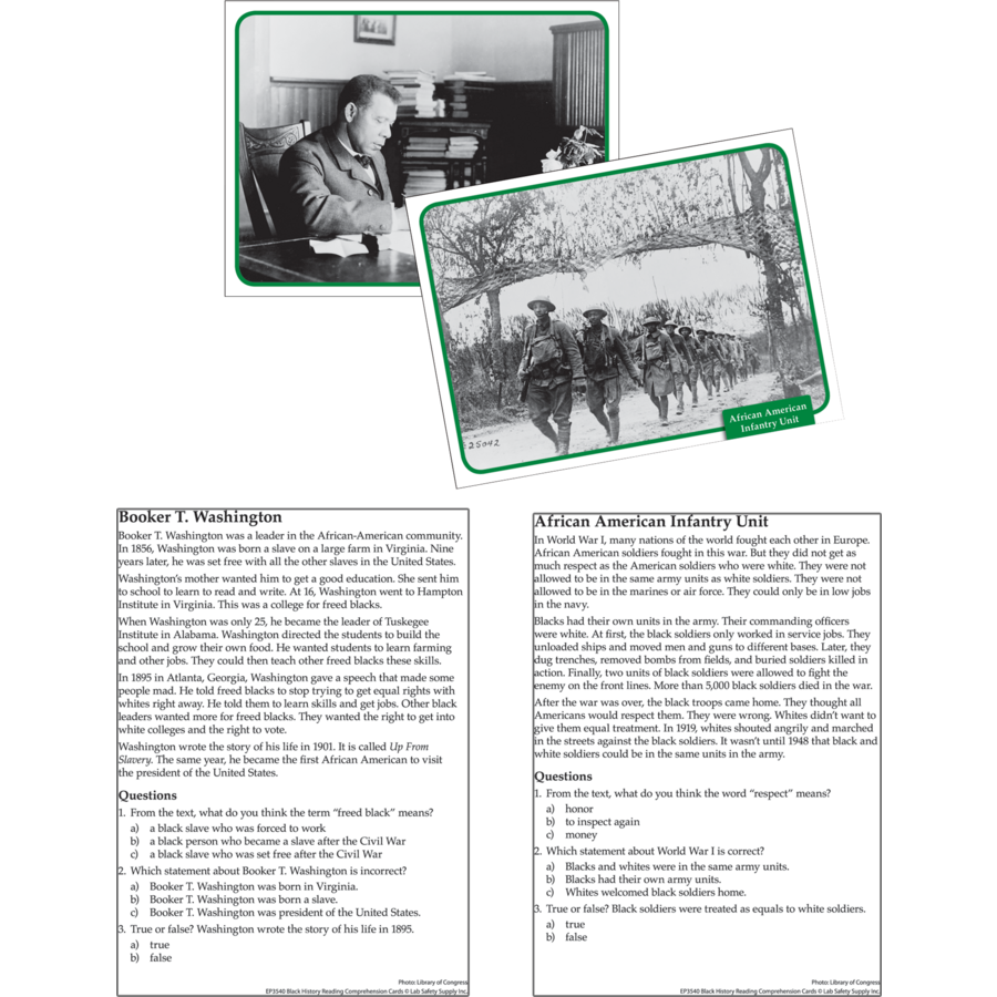 Black History Social Studies Cards - The School Box Inc