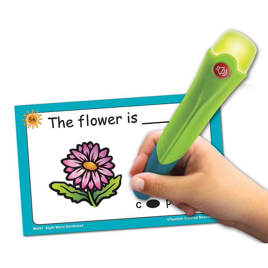 Power Pen Learning Cards Sight Word Sentences - The School Box Inc