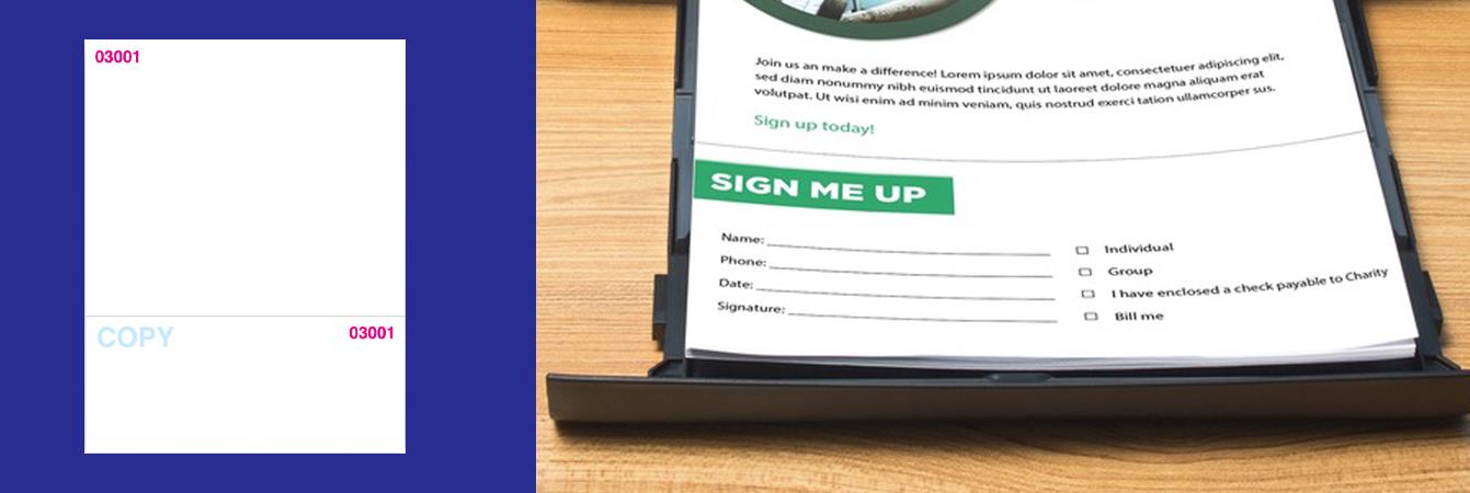 The Rapid Supplies Guide to Perforated Paper